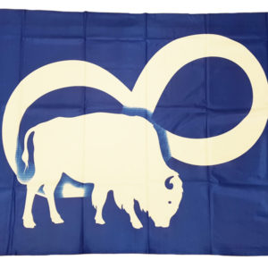 Métis Infinity Flag – Red | Gabriel Dumont Institute